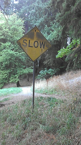 slow sign 01 – Compass Dreamwork