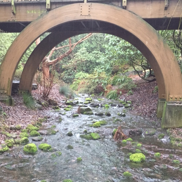 bridge 01 – Compass Dreamwork