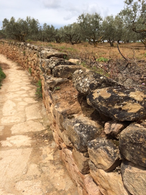 path & wall – Compass Dreamwork