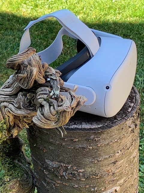 Virtual Reality & Dreaming, Part 1 – Compass Dreamwork